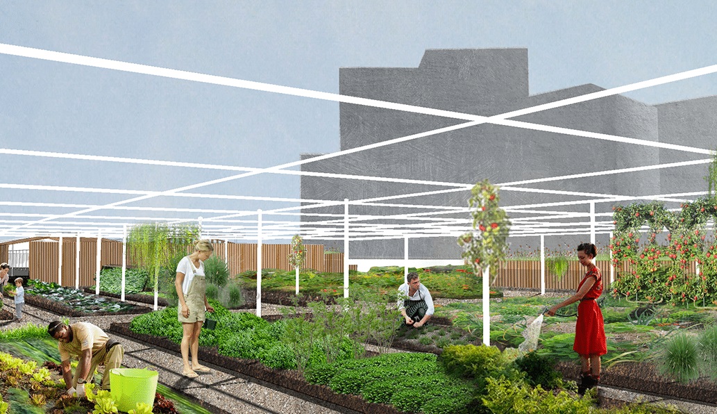 Découverte du projet de ferme urbaine à Lyon